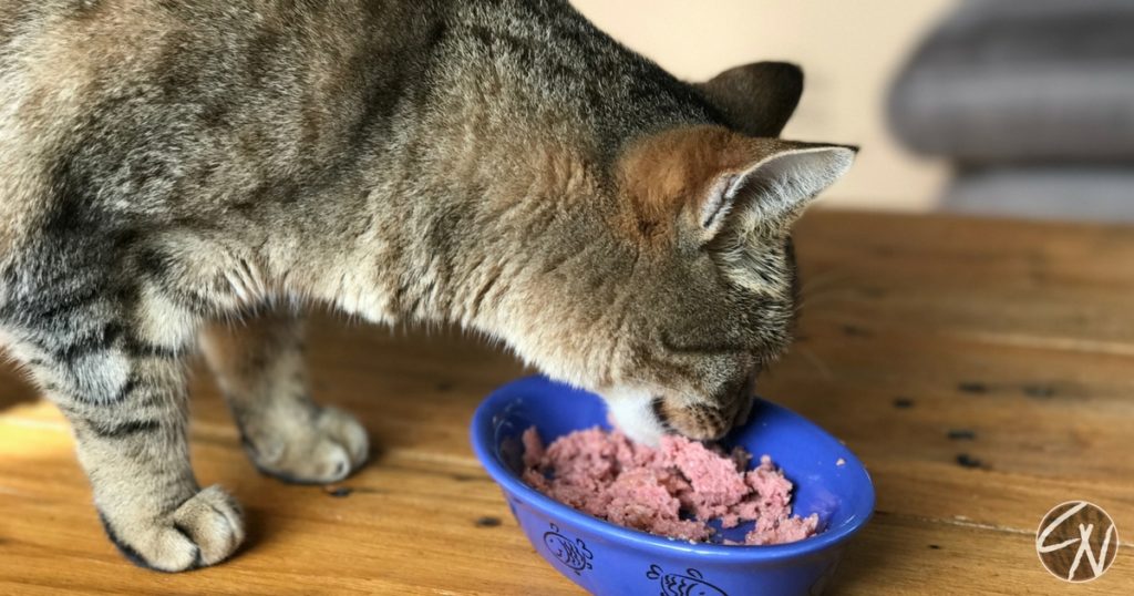 gutes_Katzenfutter_4 - Coco und Nanju Katzenblog